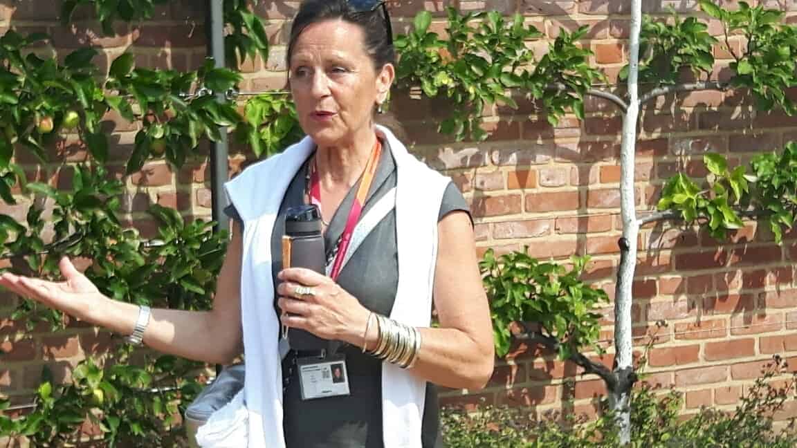 MIT DER SEILBAHN ZUM JUBILÄUMS-SOMMERFEST | CTOUR Touristik.Forum